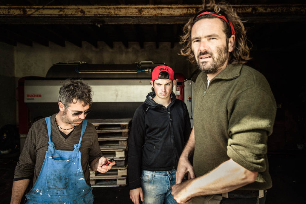 Vignes - Éric Fénot - Photographe